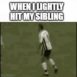 siblings - Imgflip