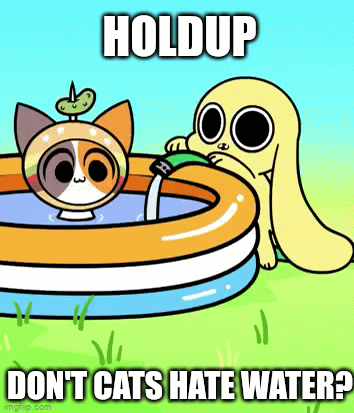Animated GIF - Imgflip