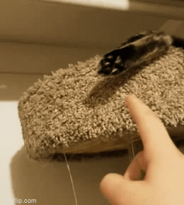 The surprise touch - Imgflip