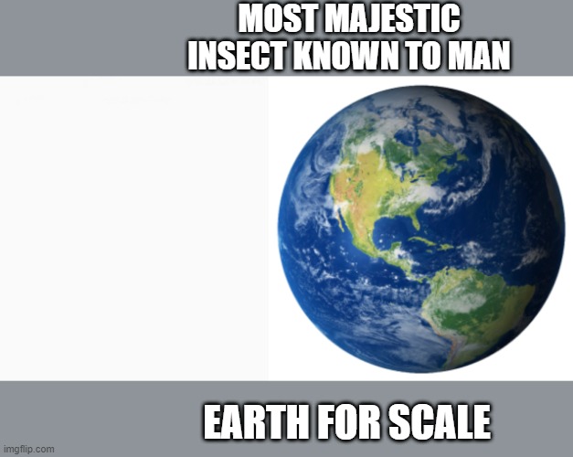 Earth for scale - Imgflip