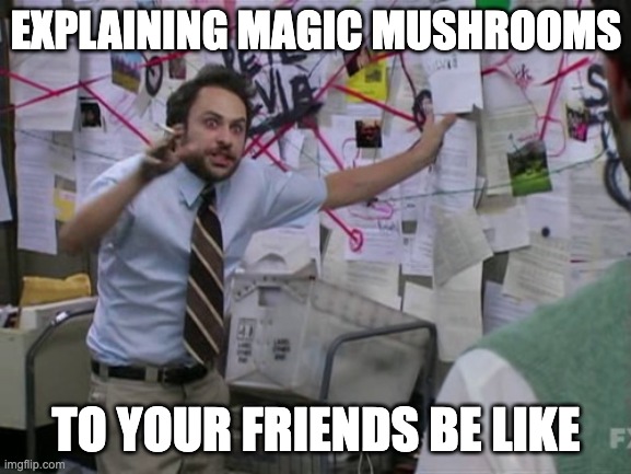 Charlie Day - Imgflip