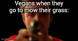 Vegans - Imgflip