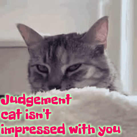 Judgement Cat - Imgflip
