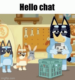 hello chat - Imgflip
