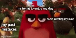 new meme temp yall (can you tell the yellow bird i forgor the name of ...