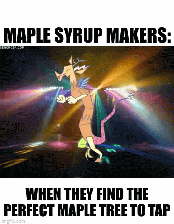 A very prosperous maple syrup season - Imgflip