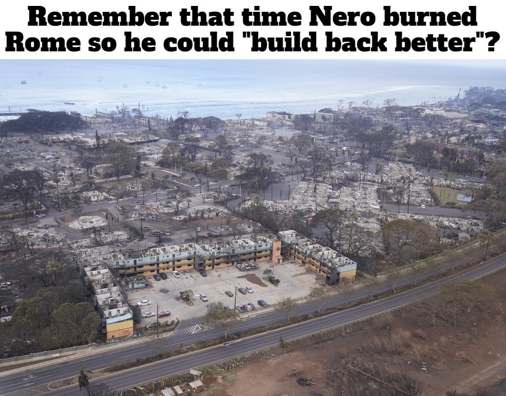 Remember that time Nero burned Rome so he could "build back better ...