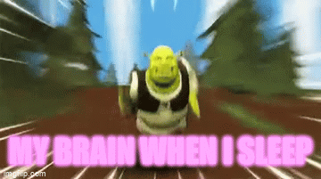 My Brain When I Sleep - Imgflip