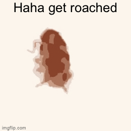 Send this to your friends to roach them - Imgflip