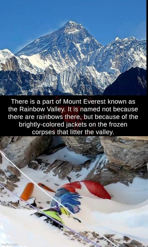 Fluoro humour? - Imgflip