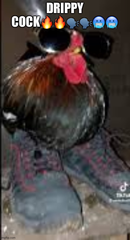 Image tagged in drip chicken - Imgflip