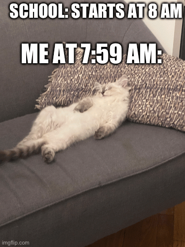 School moment - Imgflip