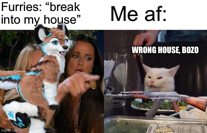 Woman Yelling At Cat Meme - Imgflip