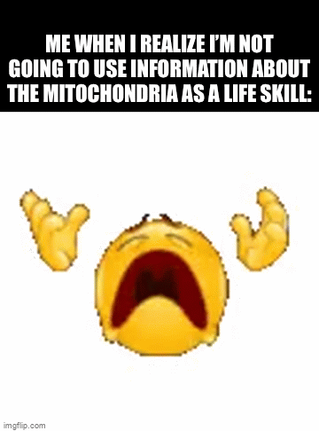 Disintegrating Cursed Cry - Imgflip