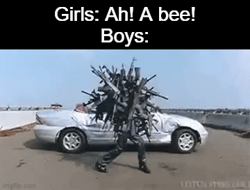 DIE, FRIGGIN' BEE!!! - Imgflip