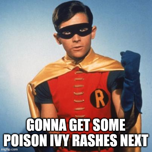 Batman's on his own tonight - Imgflip