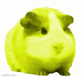Chipa vector gif - Imgflip