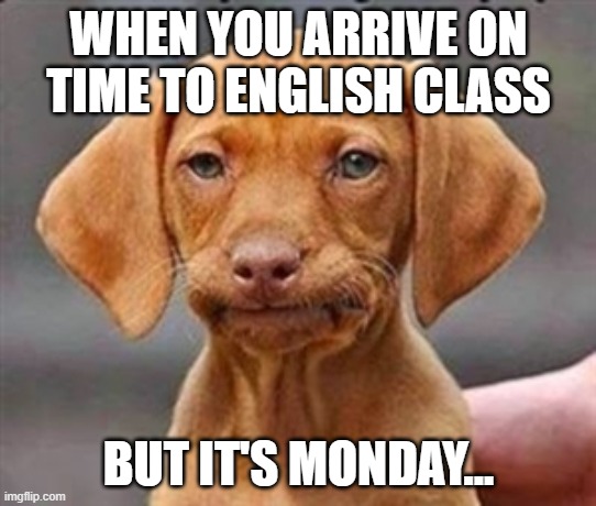 Frustrated dog - Imgflip