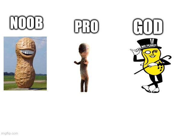 That’s how Nut City works - Imgflip