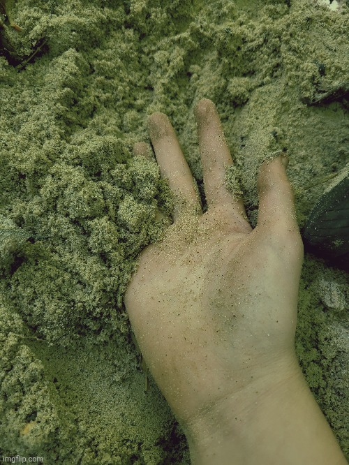 sand - Imgflip