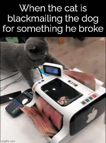 Pay me and I did not see a thing. - Imgflip