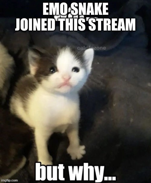 wat but why - Imgflip