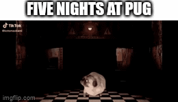 Five Nights at Pug - Imgflip