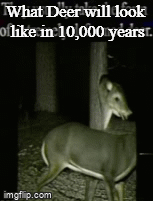 Deer in the future - Imgflip