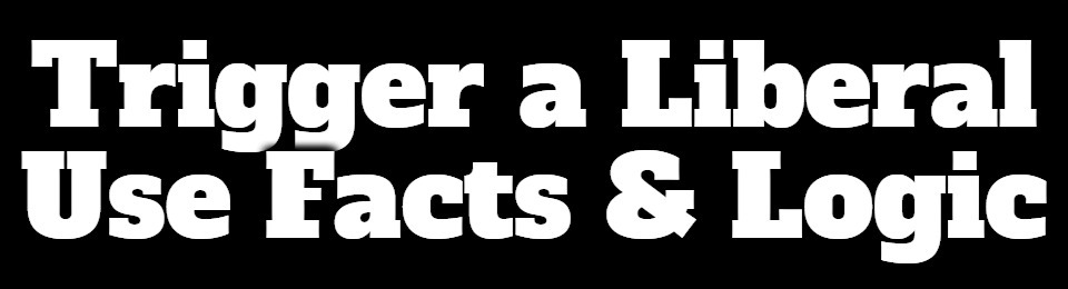 Trigger a Liberal, Use Facts & Logic - Imgflip
