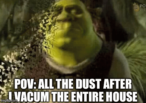 All the dust bunnies be like: - Imgflip