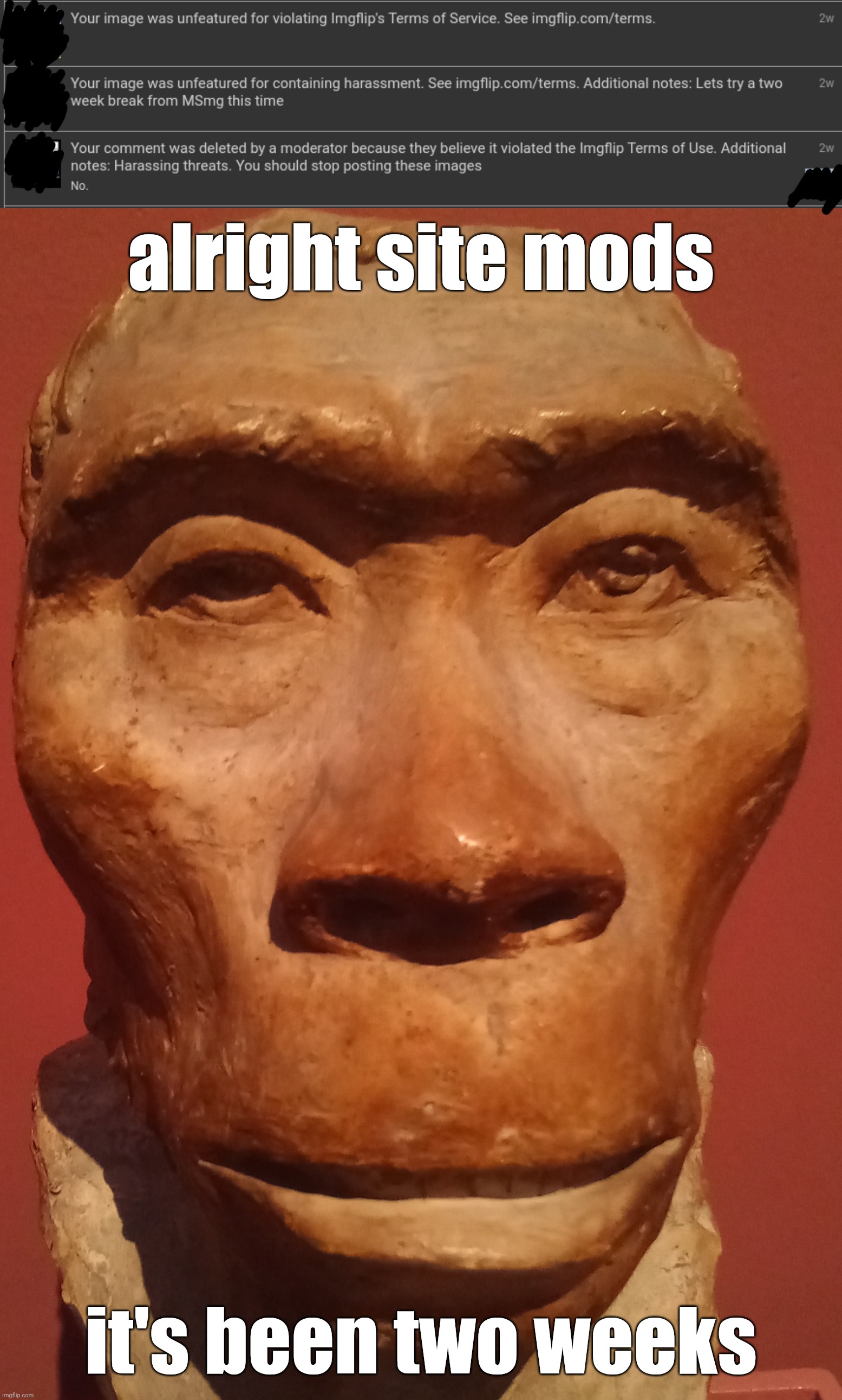 Image tagged in monkey stare - Imgflip