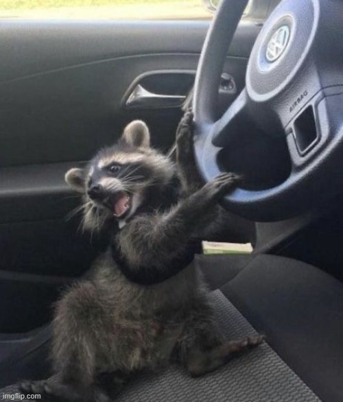 Raccoon Knight (OC) | Page 18 | SpaceBattles