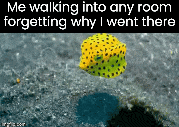 Just turn around and walk away - Imgflip