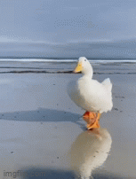 I Hear the Chariots of Fire Theme - Imgflip