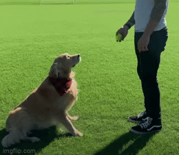 Mouth ball catch - Imgflip