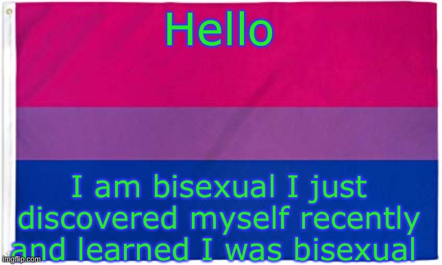 Bisexual Flag - Imgflip