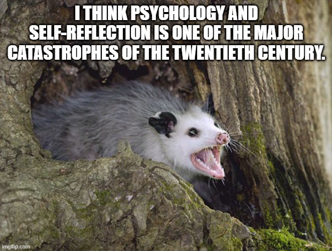 Screaming Possum - Imgflip