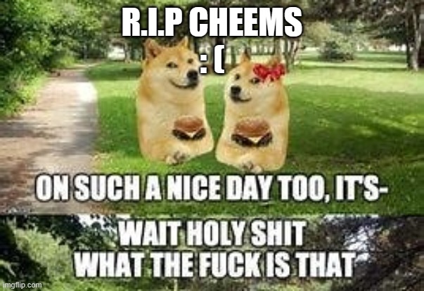 R.I.P. Cheems - Imgflip