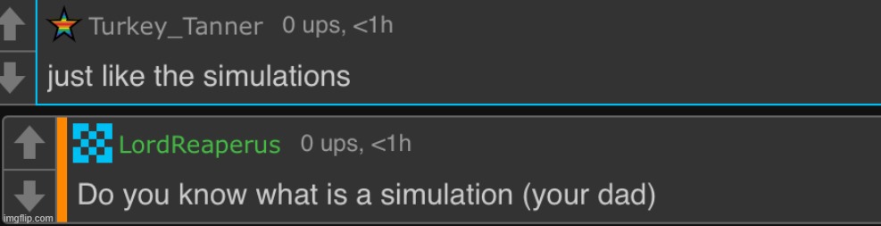 Do you know what else is a simulation - Imgflip