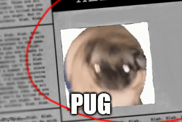 Five nights at pugs - Imgflip