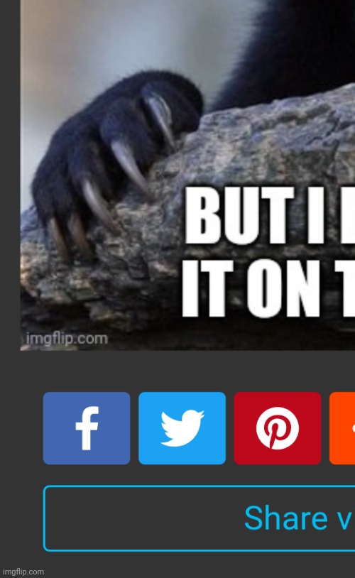 What the fuck - Imgflip