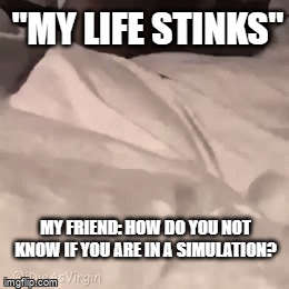 Do we truly exists? Is this world just a simulation??? - Imgflip