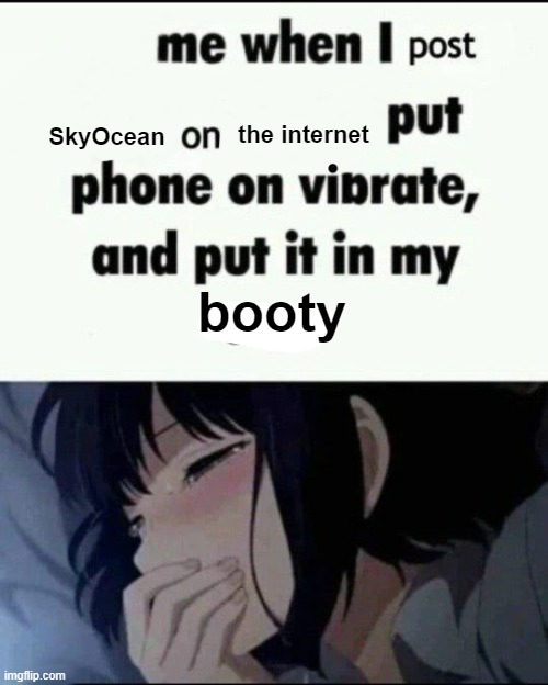 Am I the best at roasting SkyOcean - Imgflip