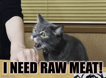 Don't forget to feed him... - Imgflip