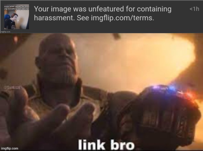 Image tagged in link bro - Imgflip