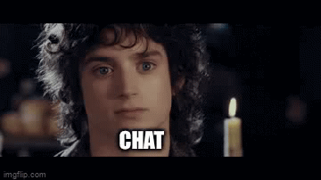 Bye chat Bilbo - Imgflip