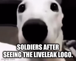 Shivering Dog - Imgflip