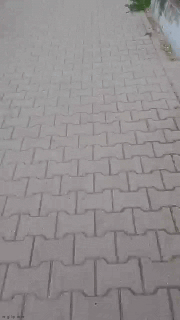 Animated GIF - Imgflip