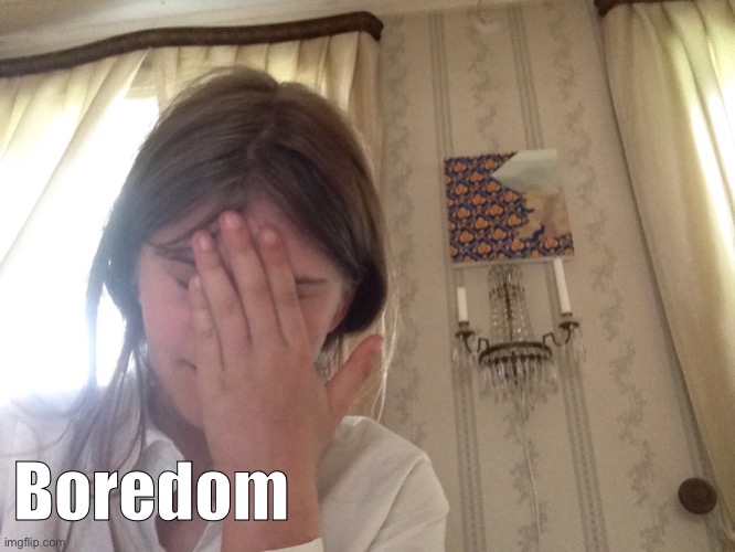 DarthSwede face palm - Imgflip