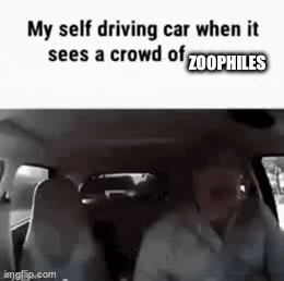My self driving car when - Imgflip